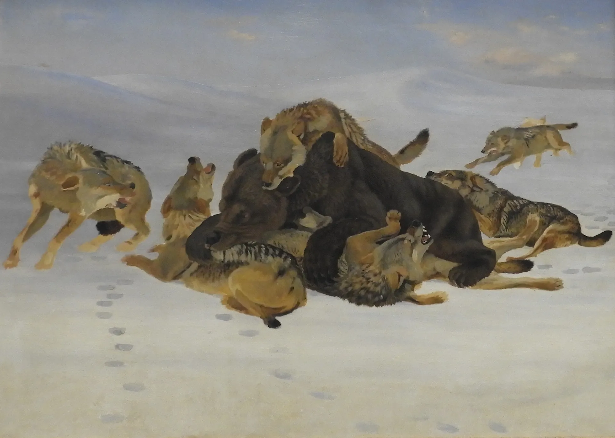 Bär von Wölfen überfallen - Kunstmuseum Solothurn